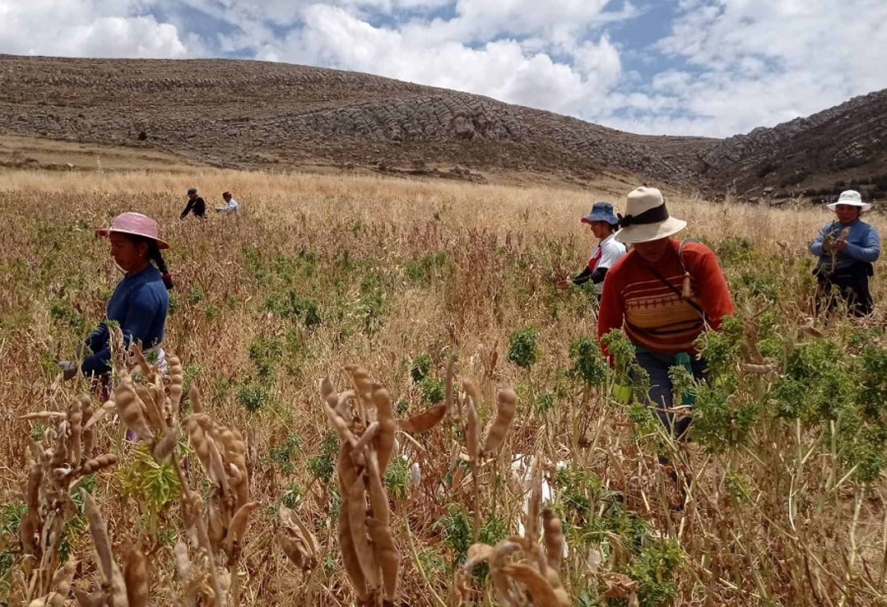 Bolivia Sufre Por La Mayor Sequía De Los últimos Años