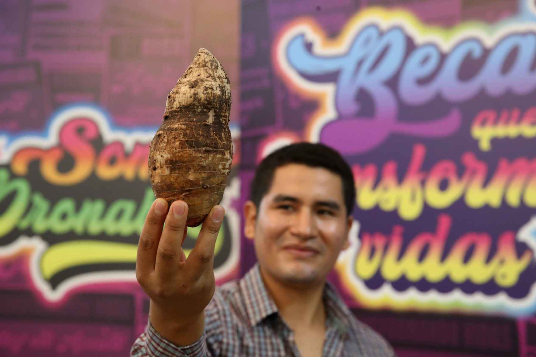 La Pituca: el tubérculo amazónico que busca conquistar el mundo