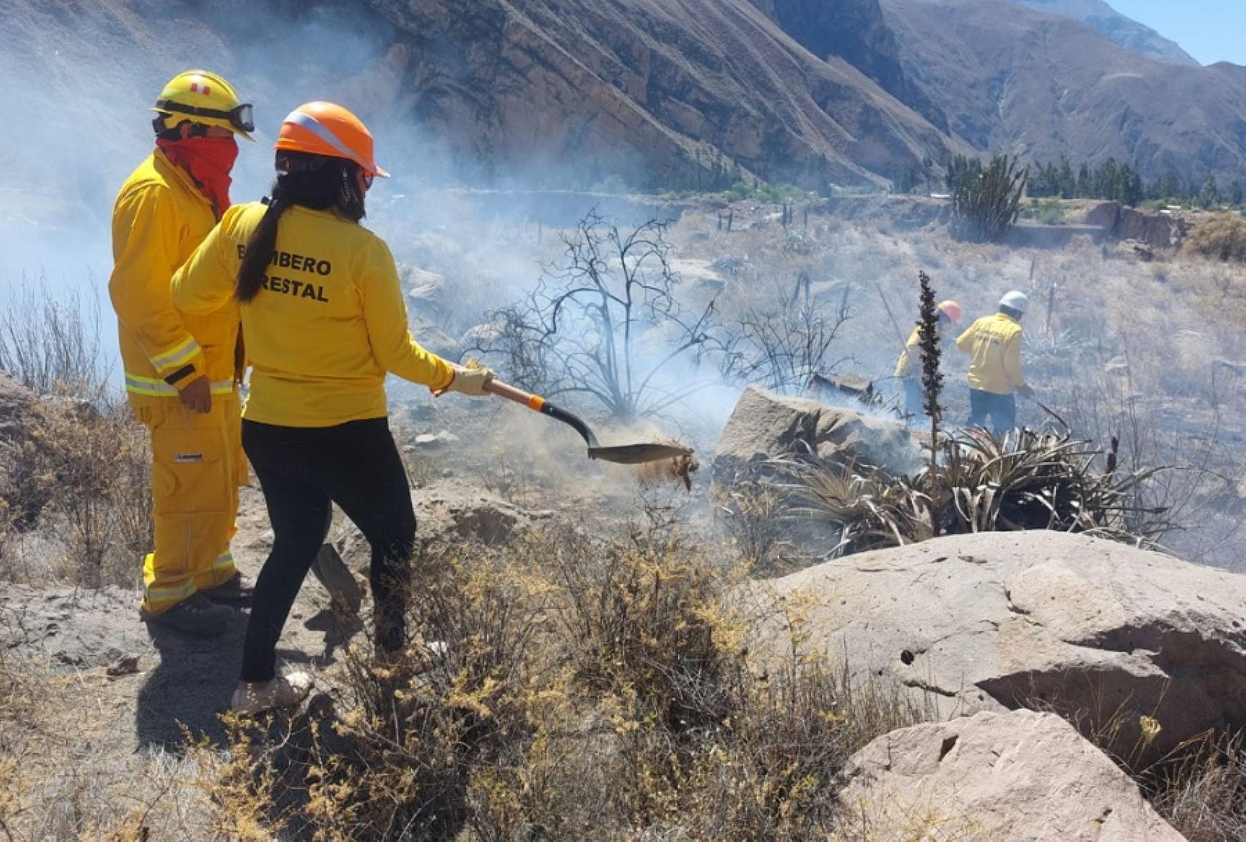 Ciudadanos son capacitados para enfrentar los incendios forestales