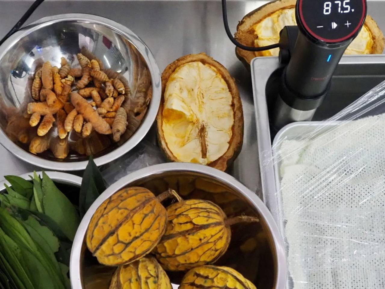 Aprueban norma técnica para el fruto macambo