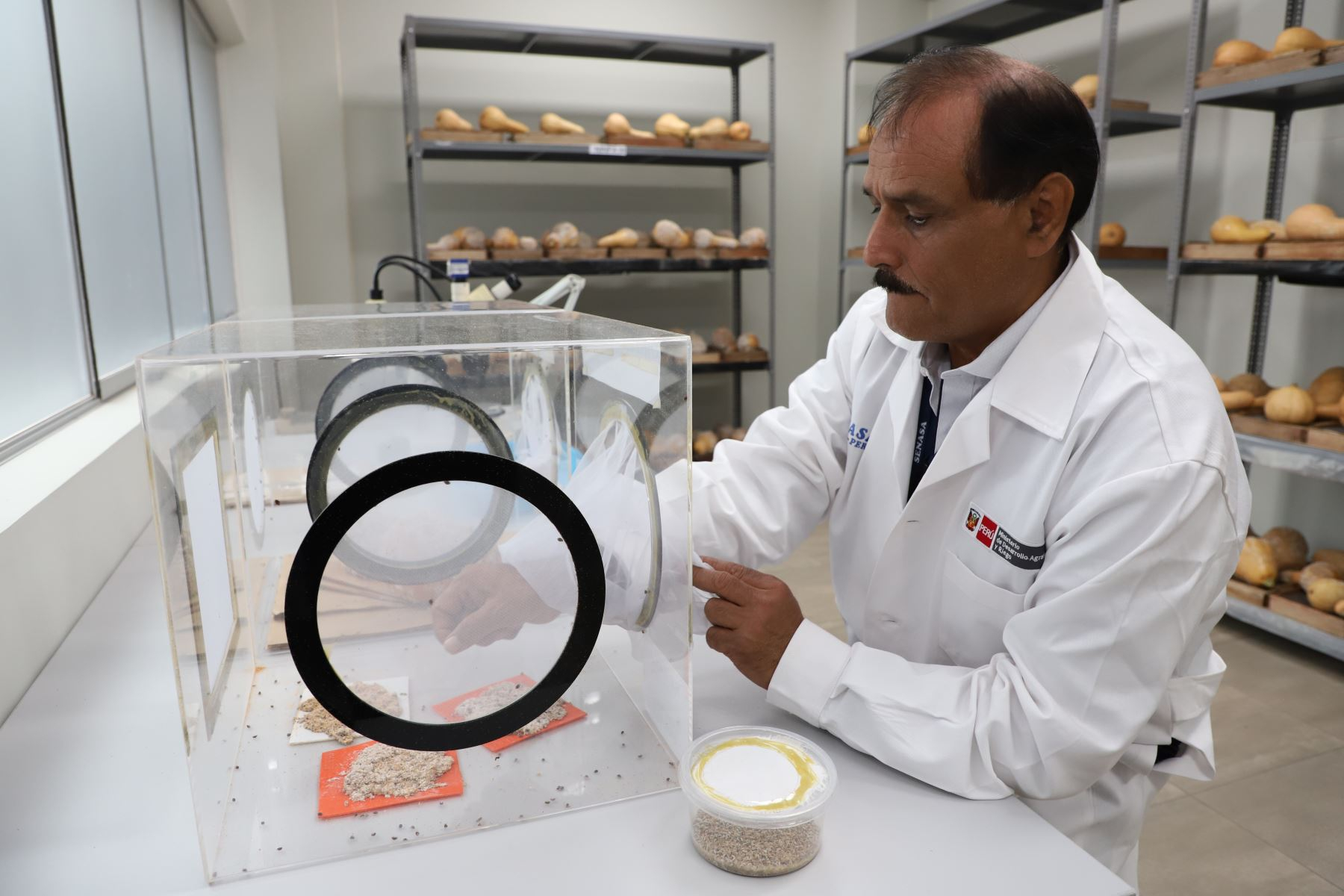 Perú cuenta con moderno centro de producción de insectos benéficos